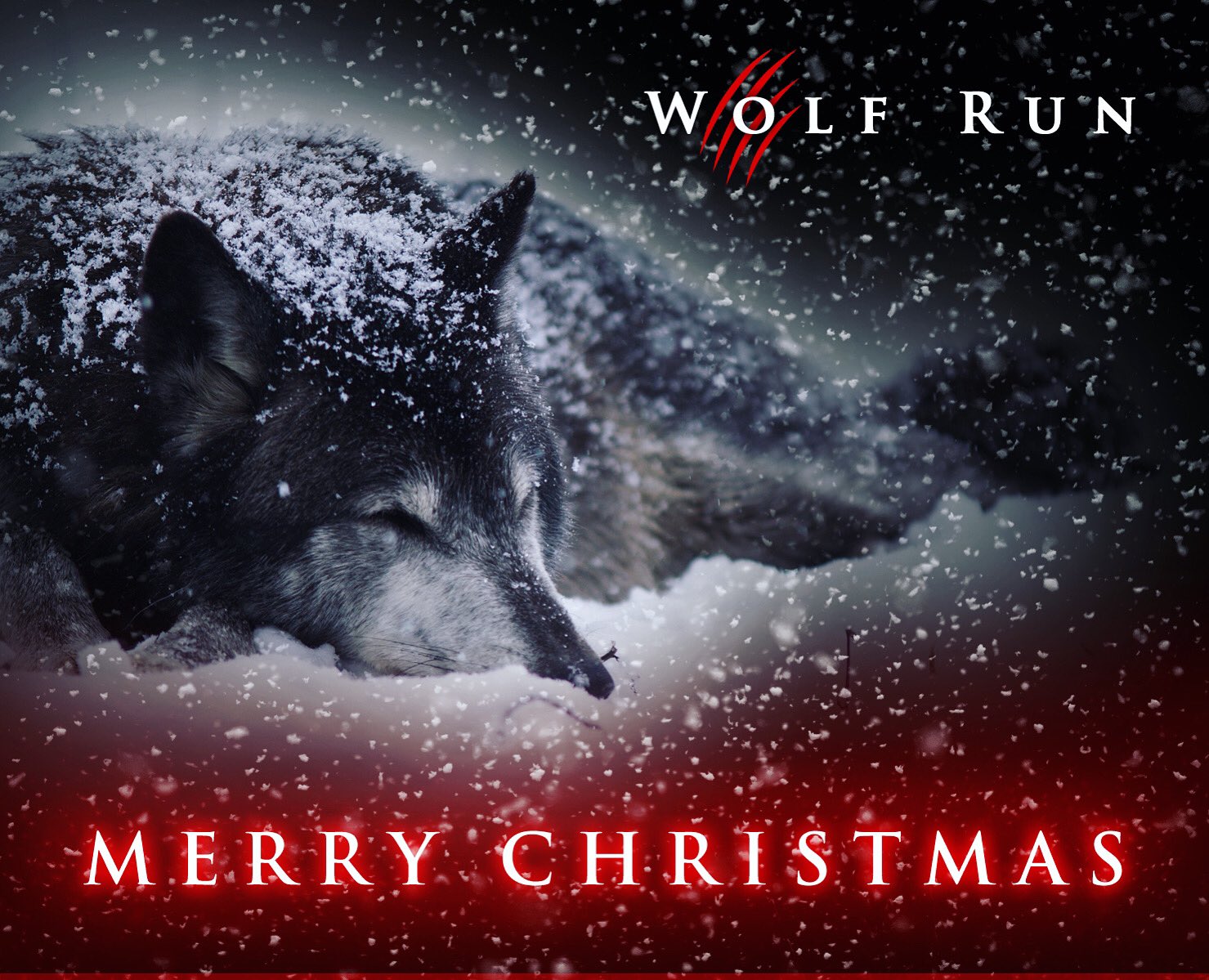 Courage Wolf Christmas