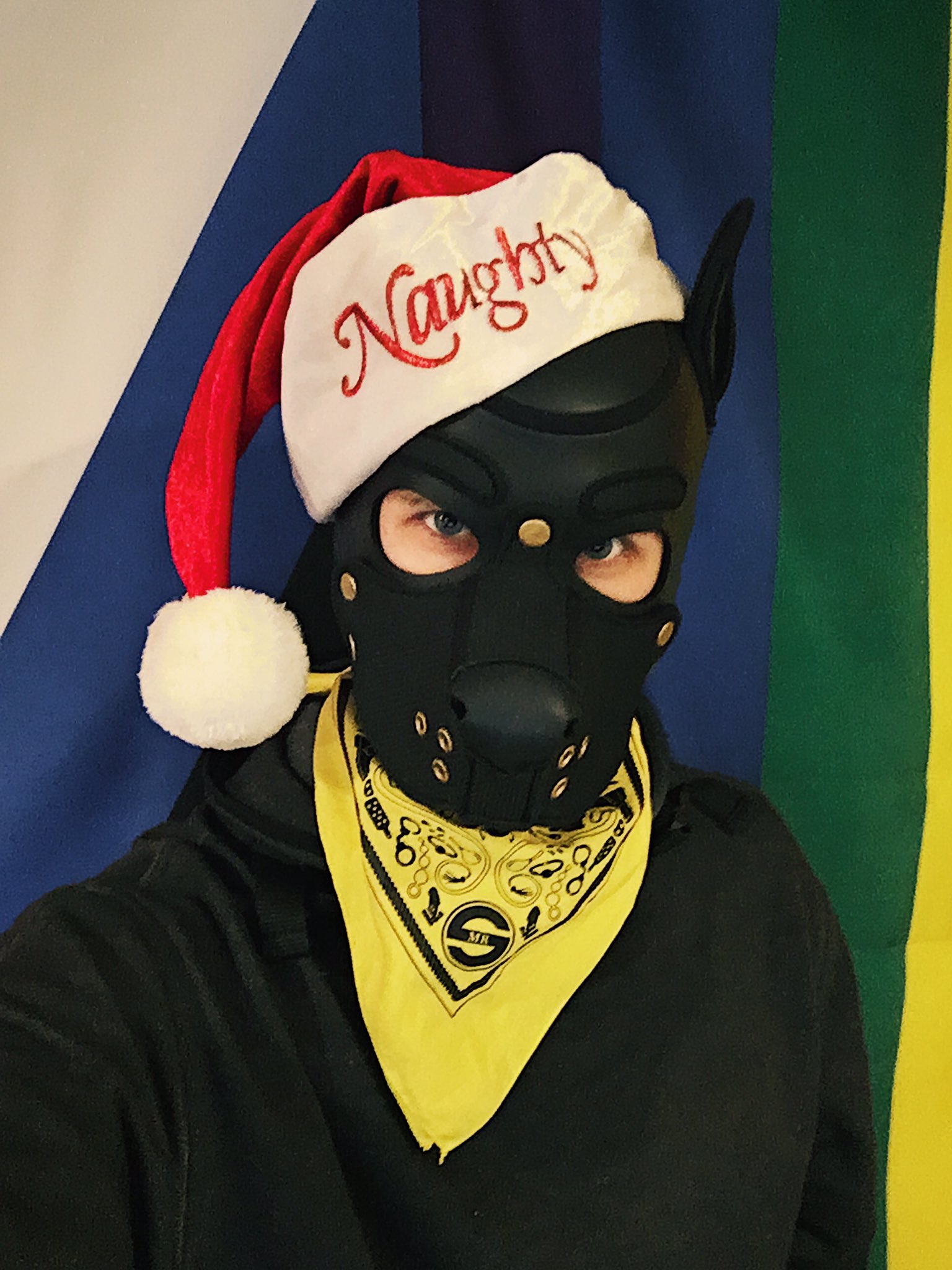 TW Pornstars - 1 pic. Puppy Ty. Twitter. Merry Christmas puppies ...