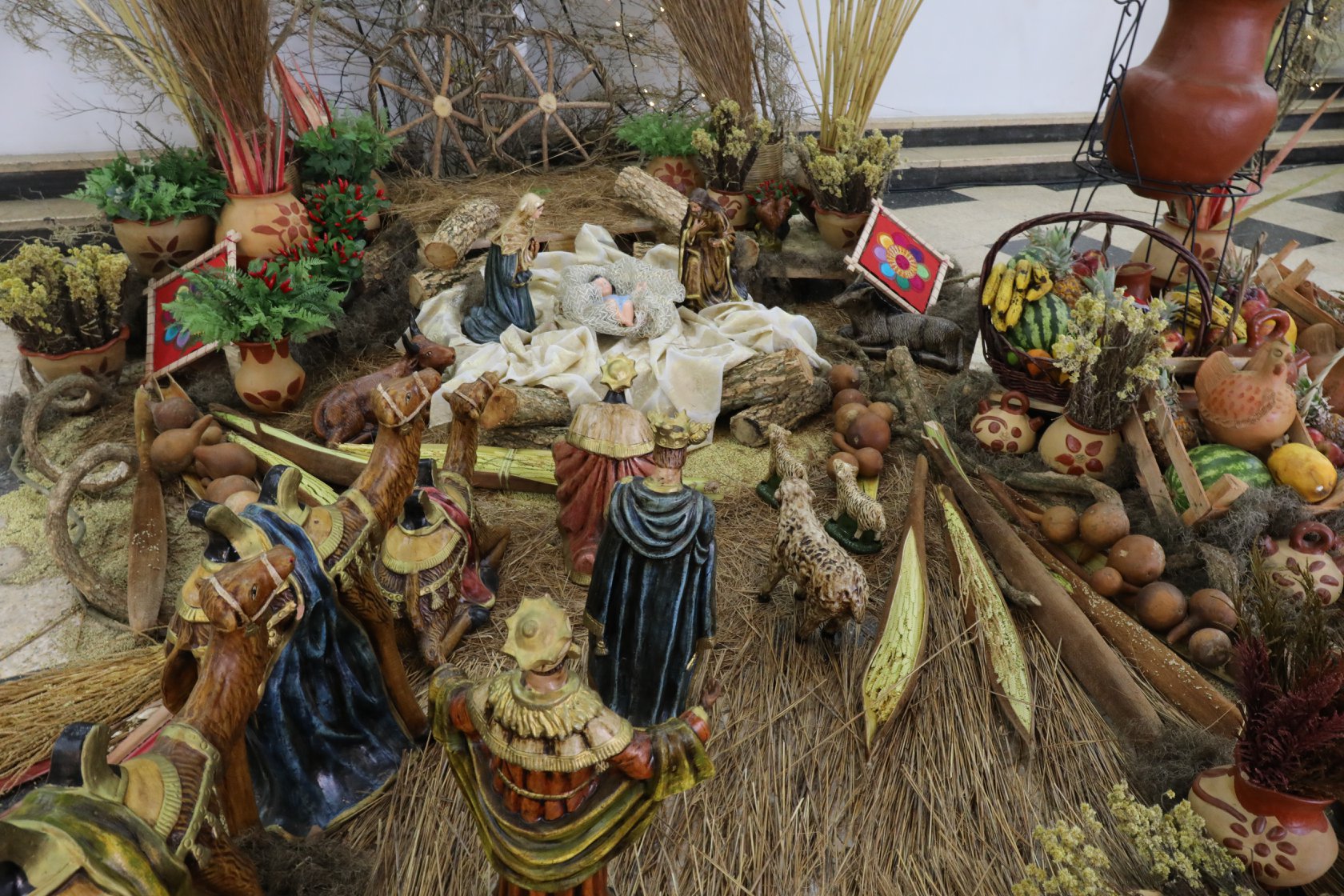 Flor De Cocotero De Peru