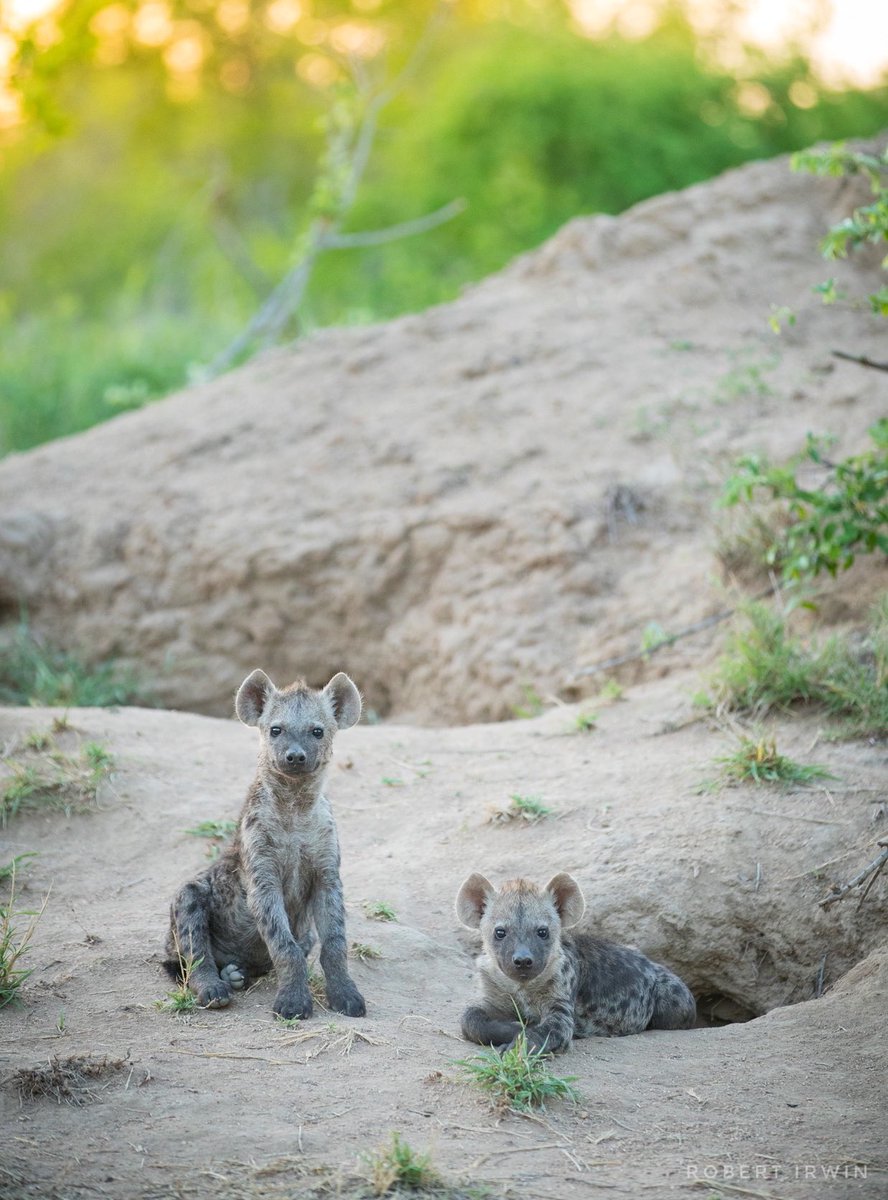 Knowledge Adda (@KnowledgeAdda1) | Twitter