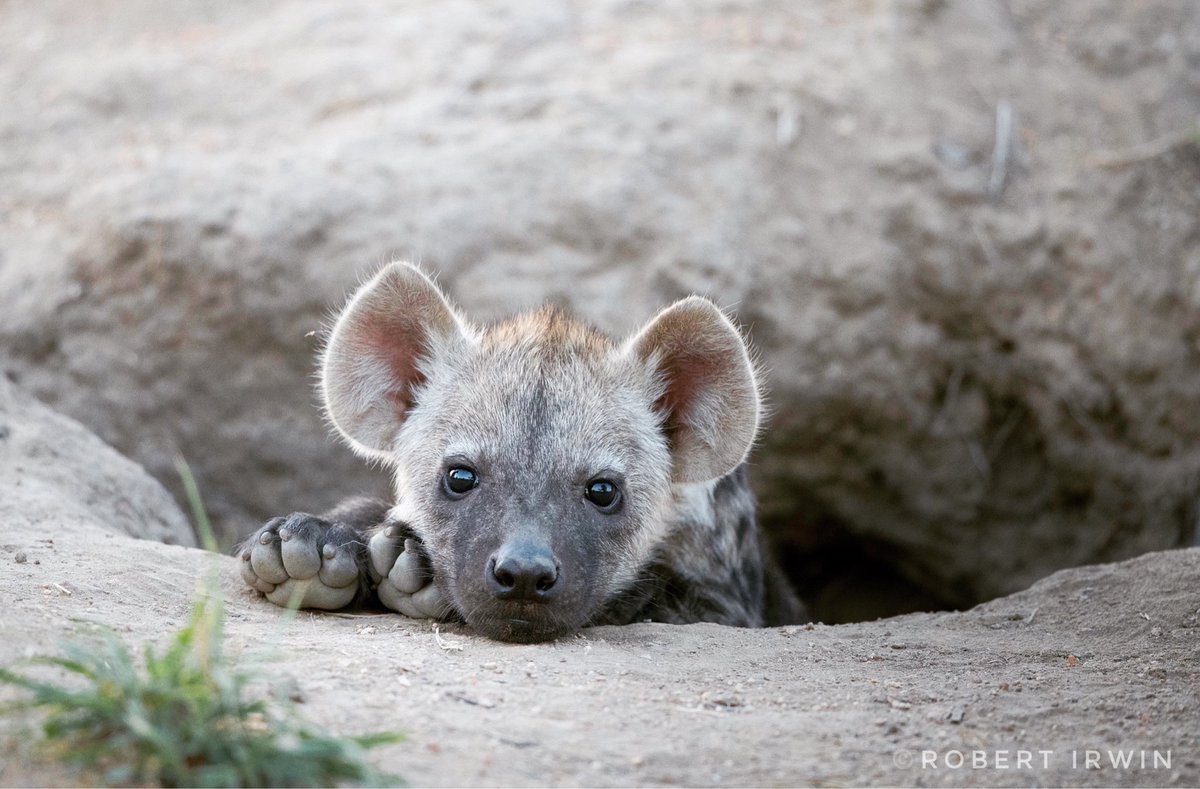 Knowledge Adda (@KnowledgeAdda1) | Twitter