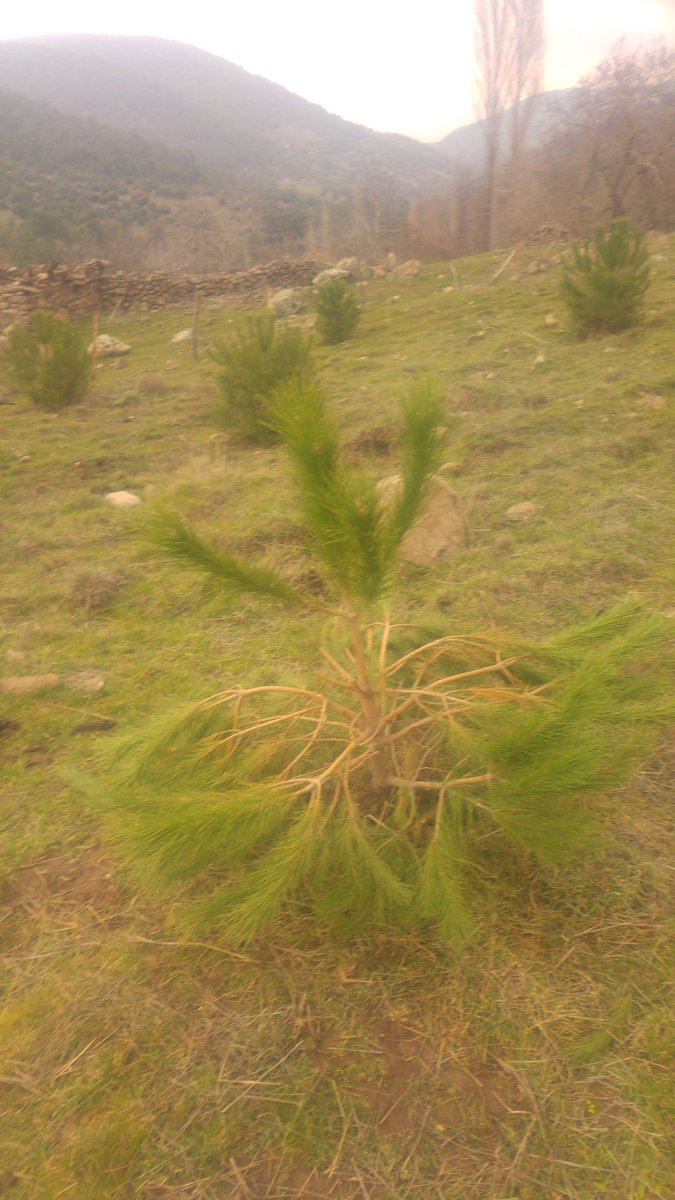 Mehmet Emin Ceylan (@MehmetE90954871) | Twitter