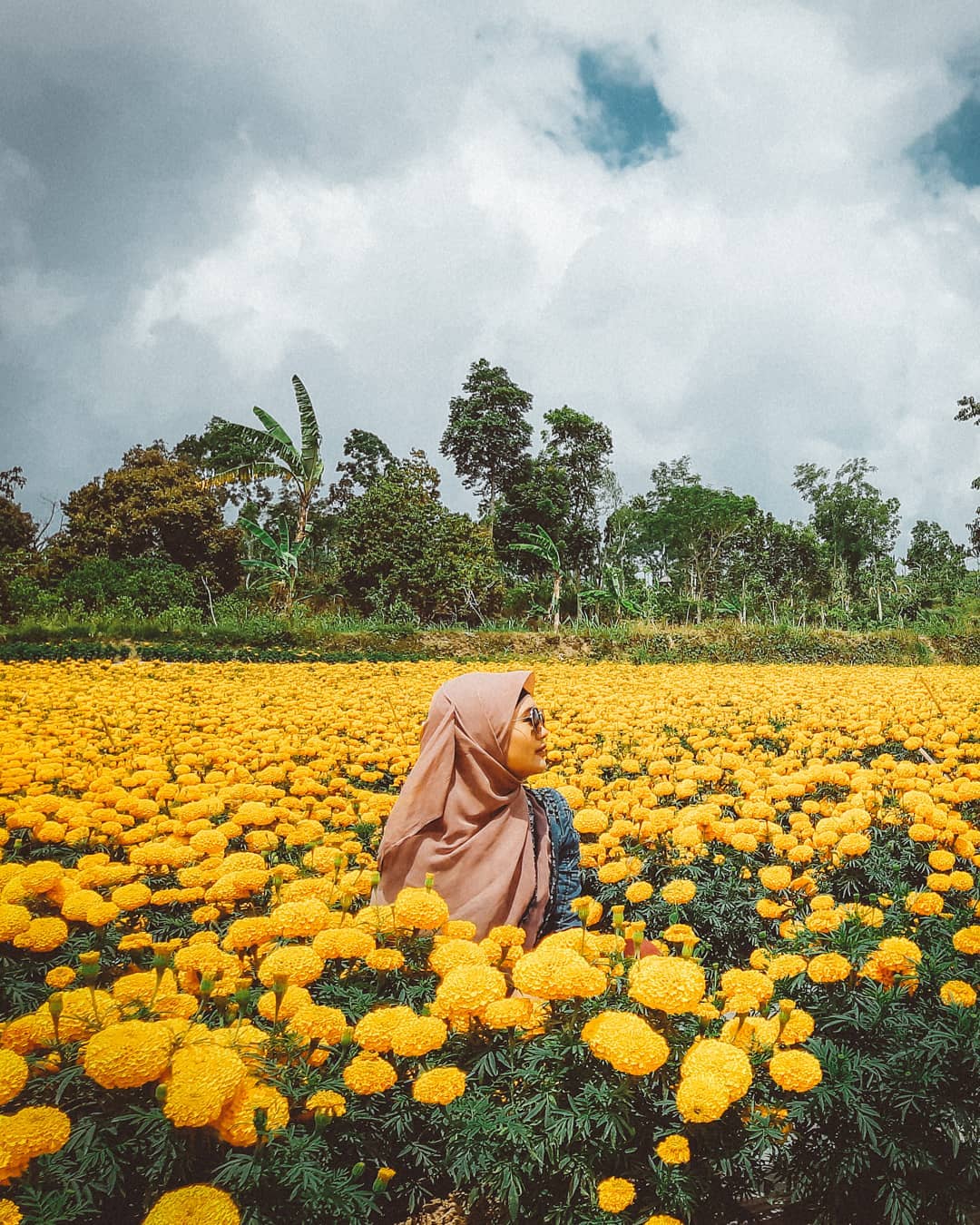 On Twitter We Are Muslim Tour Guide In Bali We Are on-twitter-we-are-muslim-tour-guide-in-bali-we-are