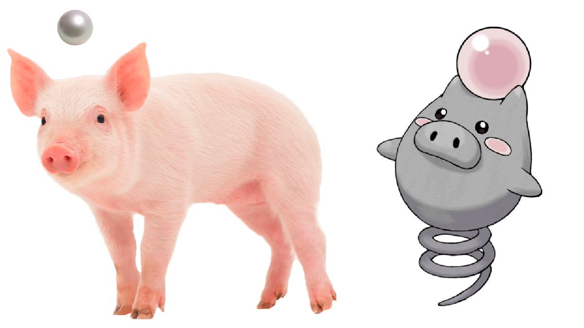 Spoink Pokemon