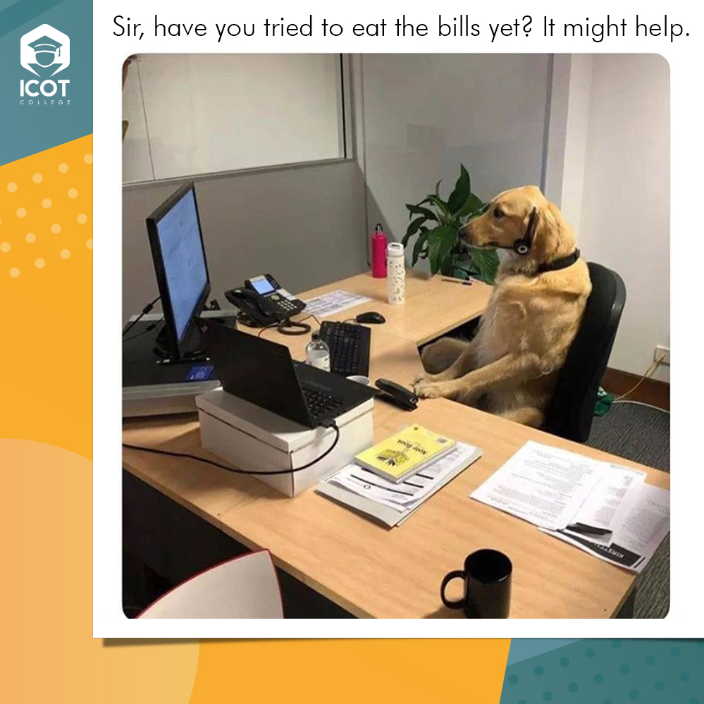 Dog Tech Support Meme