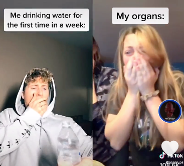 Accepted To College Meme