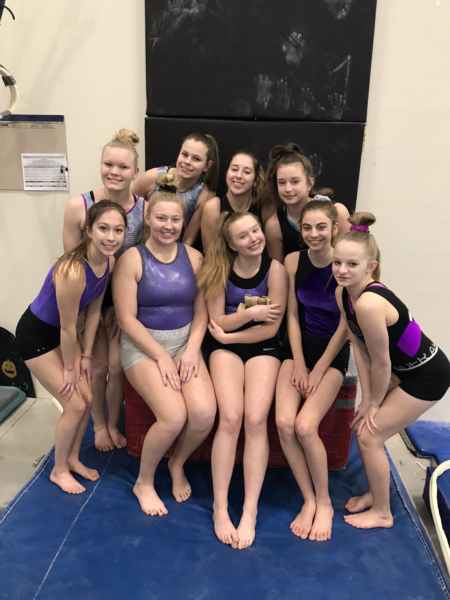 High School Gymnastics Team