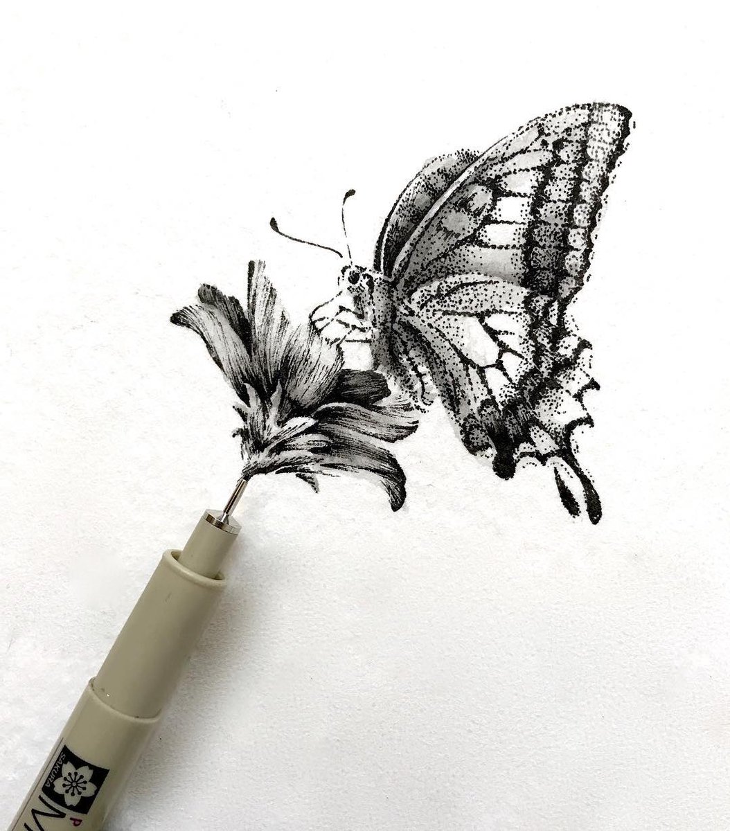 Pigma Micron Pens Art