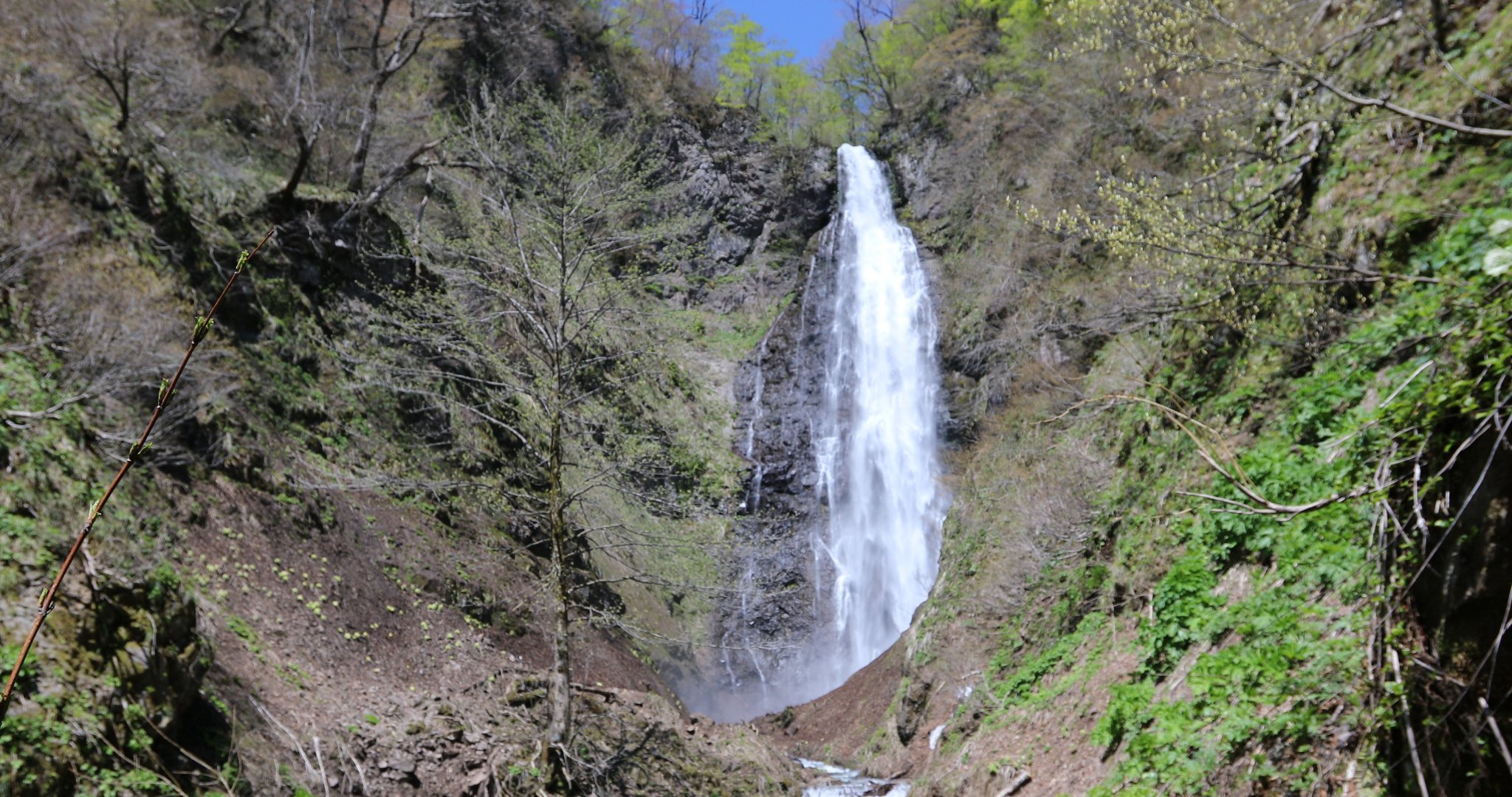 世界遺産「白神山地の一年！春夏秋冬の絶景」 | as you know