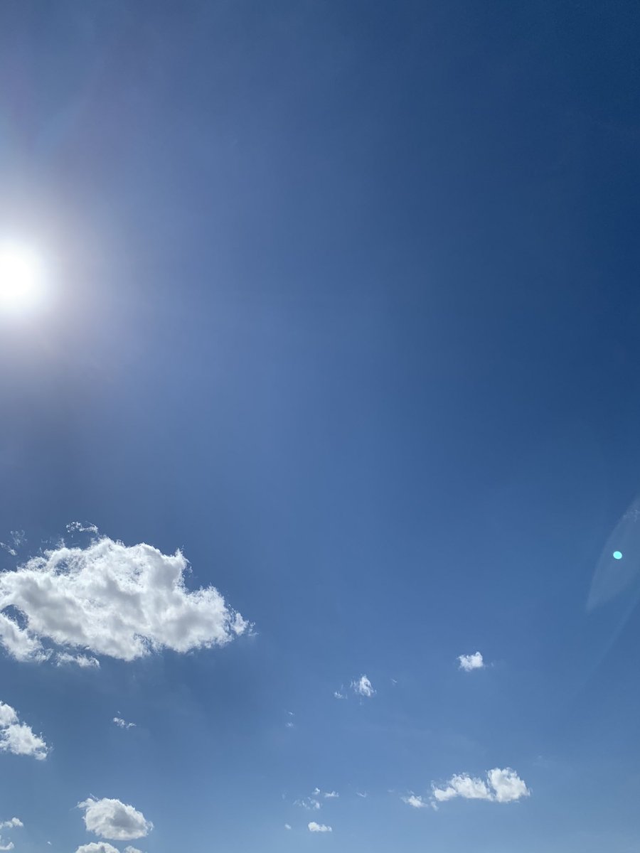 Sky “|℡ 🌥🌻 (@sky33_t) | Twitter