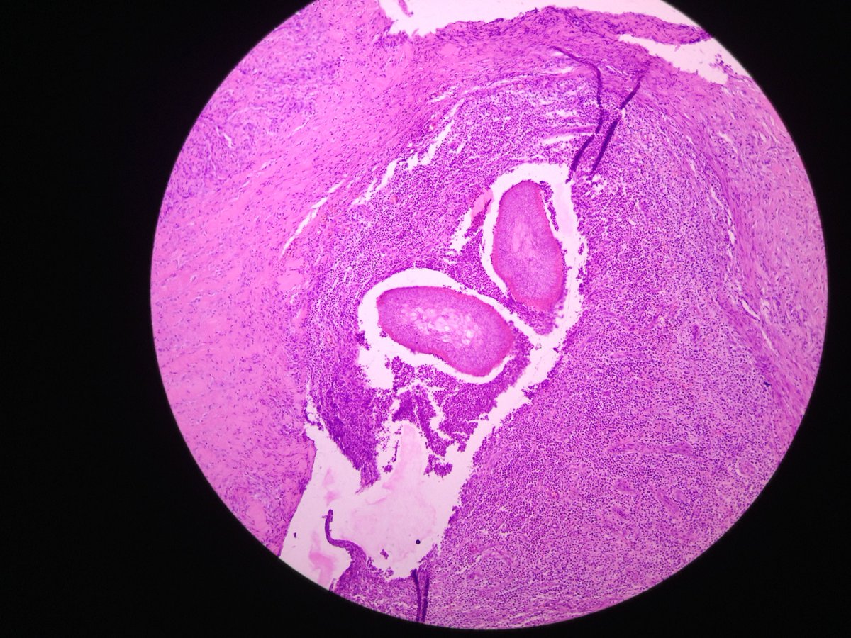 Sabin Ranabhat (@RbSabin) | Twitter