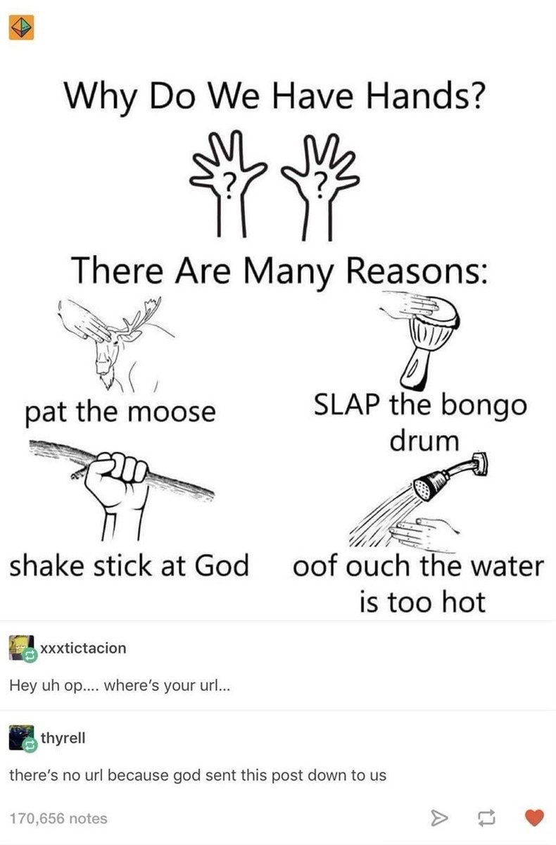 Pokemon Tumblr Posts