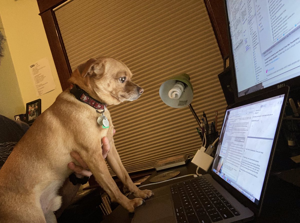 Daniela Witten's Threads – Thread Reader App