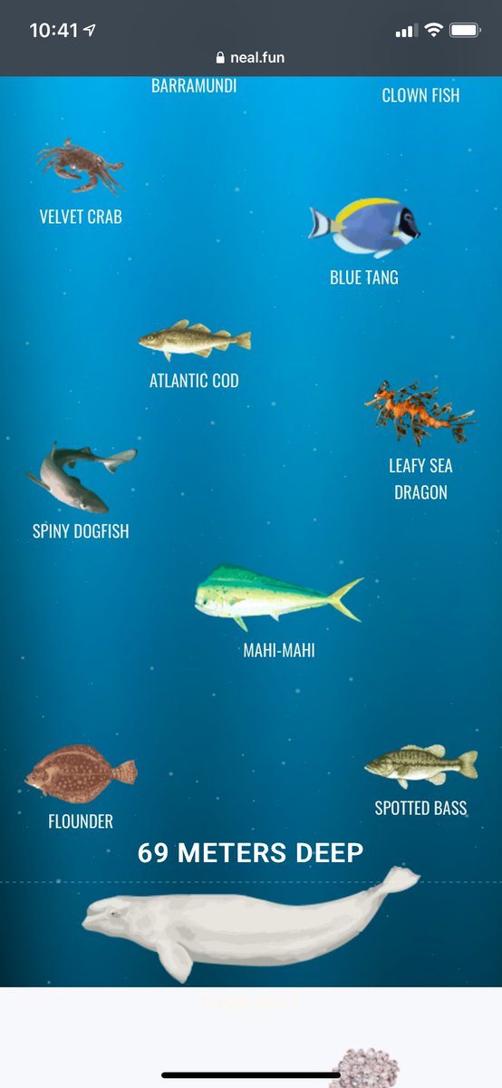 Neal.fun Deep Sea Neal.fun Ep.6 YouTube