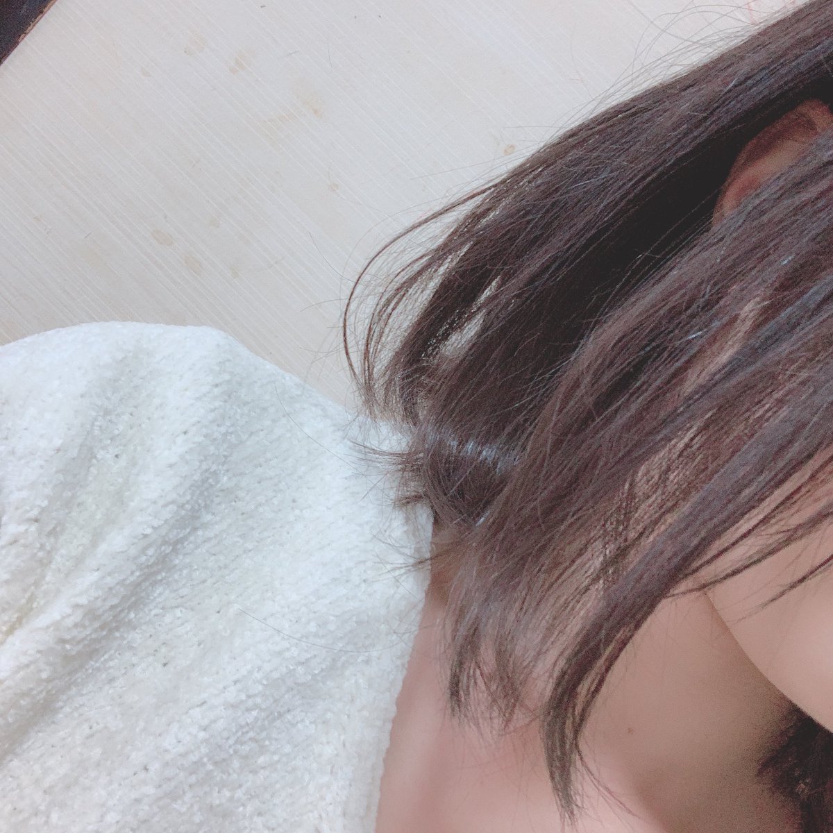 のり (@Arabikku_nori) | Twitter