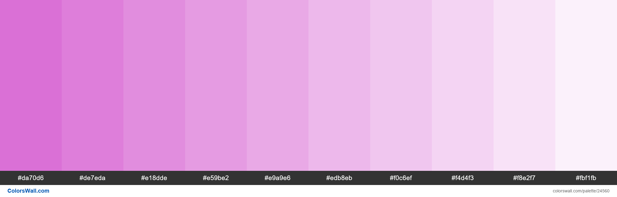 Orchid Color Code