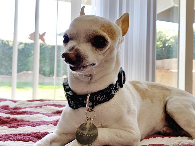 Twoucan - veronicaandjelly (@veronicandjelly)