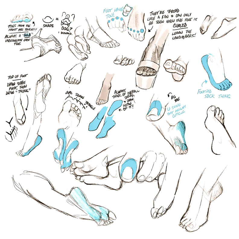 How To Draw Feet Anime Dusty Kenney
