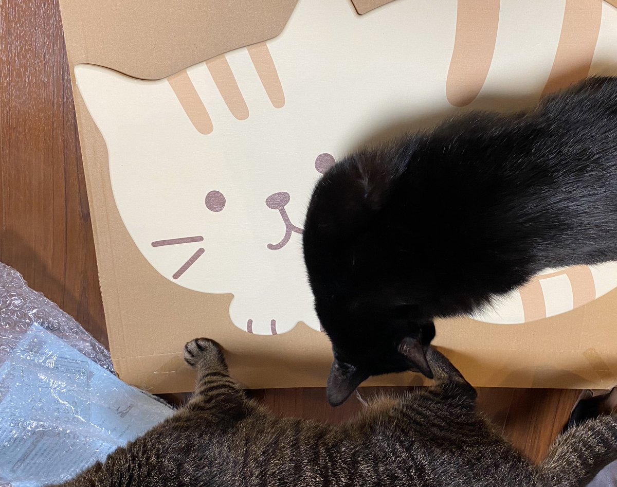 【HAPiNsハピンズ福袋2023】ネタバレ中身まとめ！はんなり豆腐福袋、ふくふくにゃんこの福袋 | Ladytopi（レディトピ）