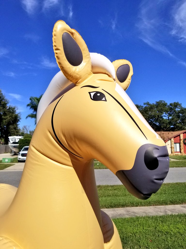 Inflatable Palomino Horse