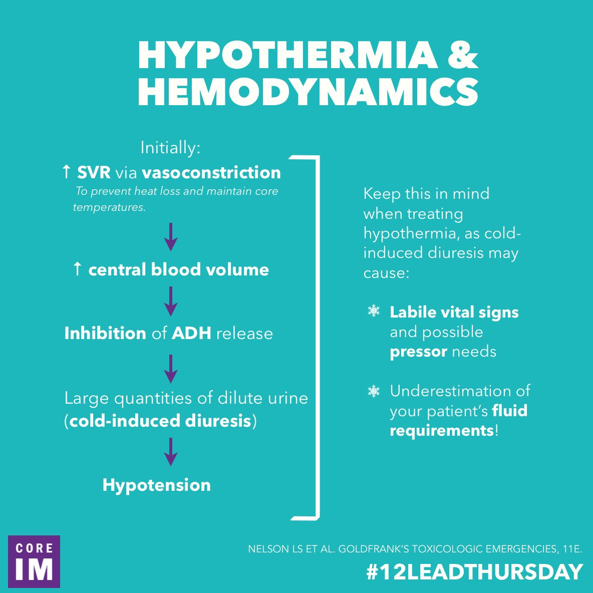 1/ After this week’s #12LeadThursday, don’t ever let anyone tell you ...