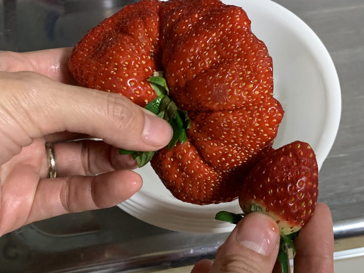 Japón con jamón 📖さんの人気ツイート（古い順） - ついふぁん！