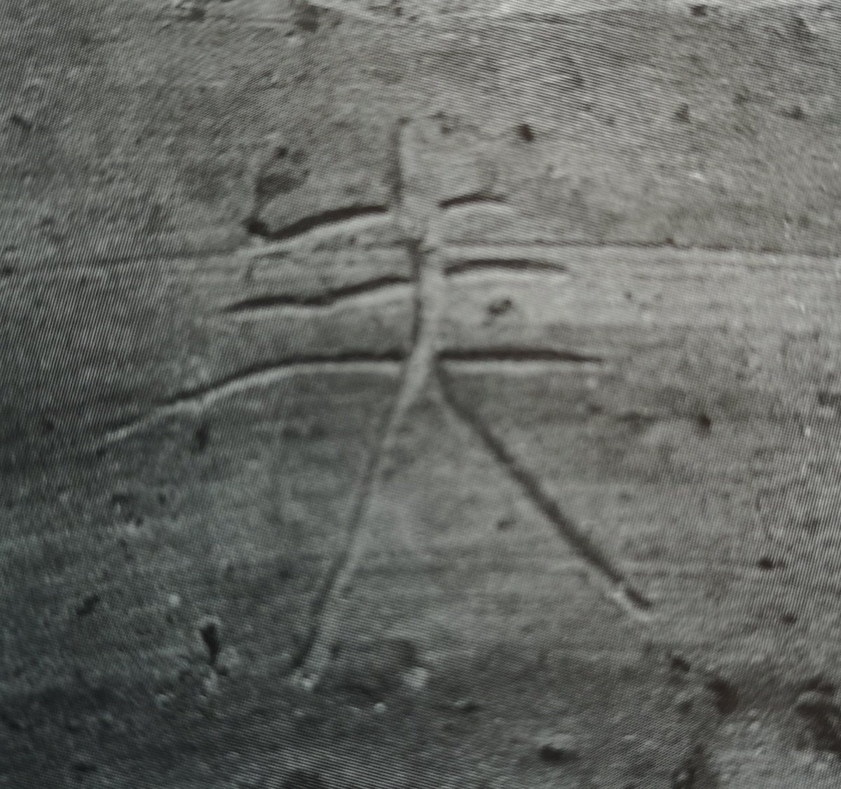 nobutake_Ishii on Twitter: "夷と思われていたものが奉の簡体であったとも言われていますね。…