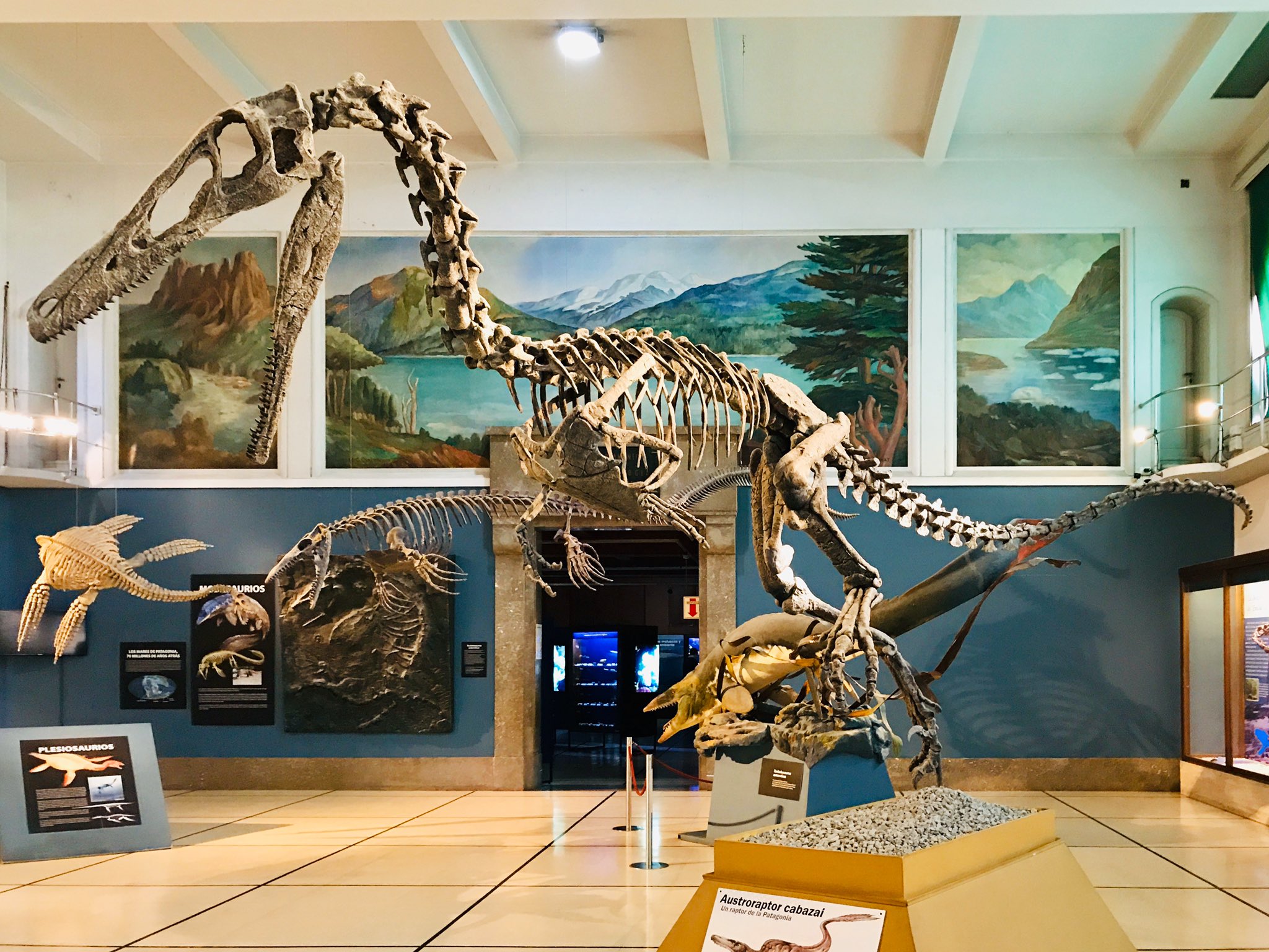 Austroraptor Skeleton
