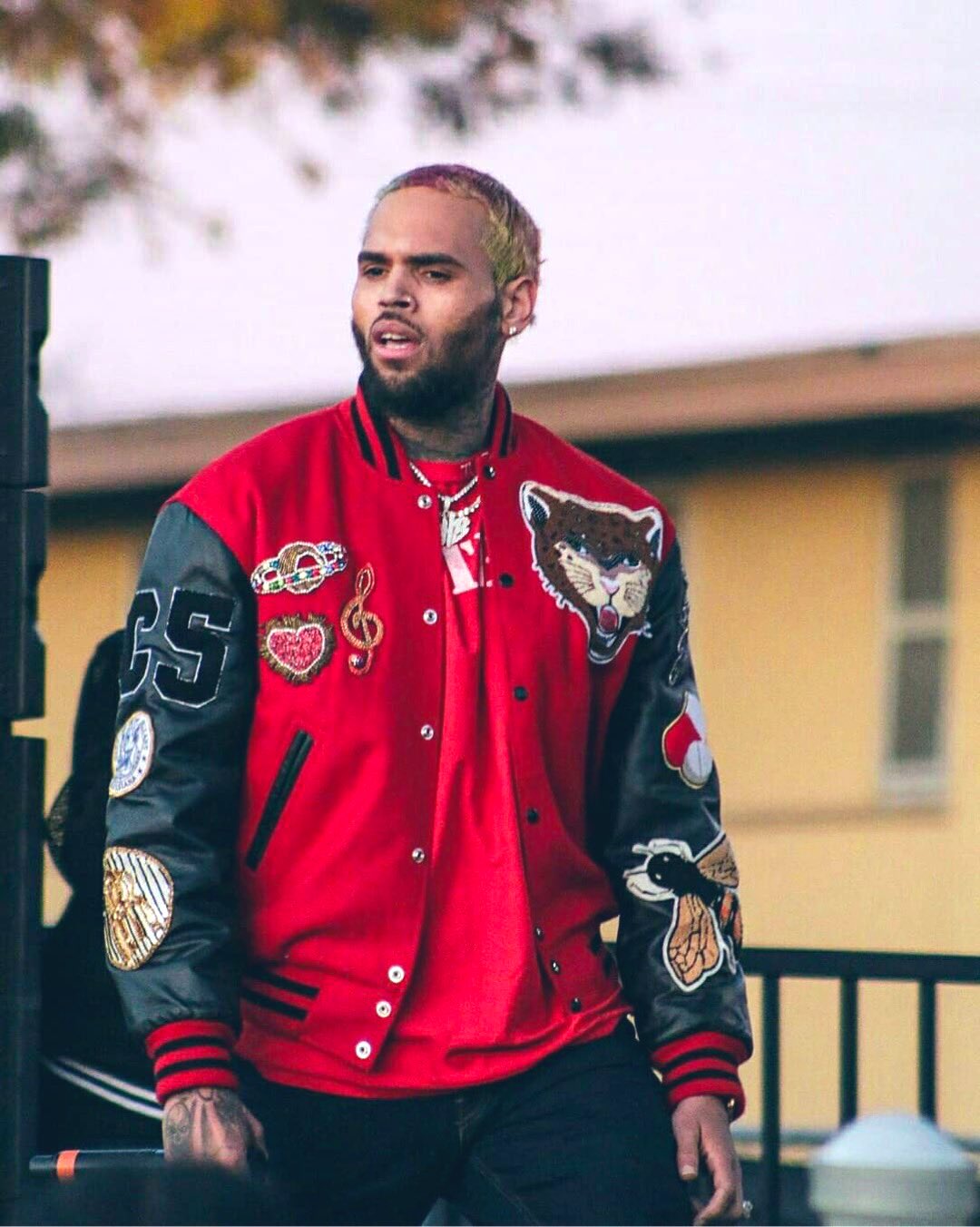 Chris Brown Swag