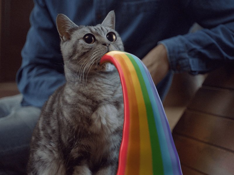 Rainbow Puke Cat