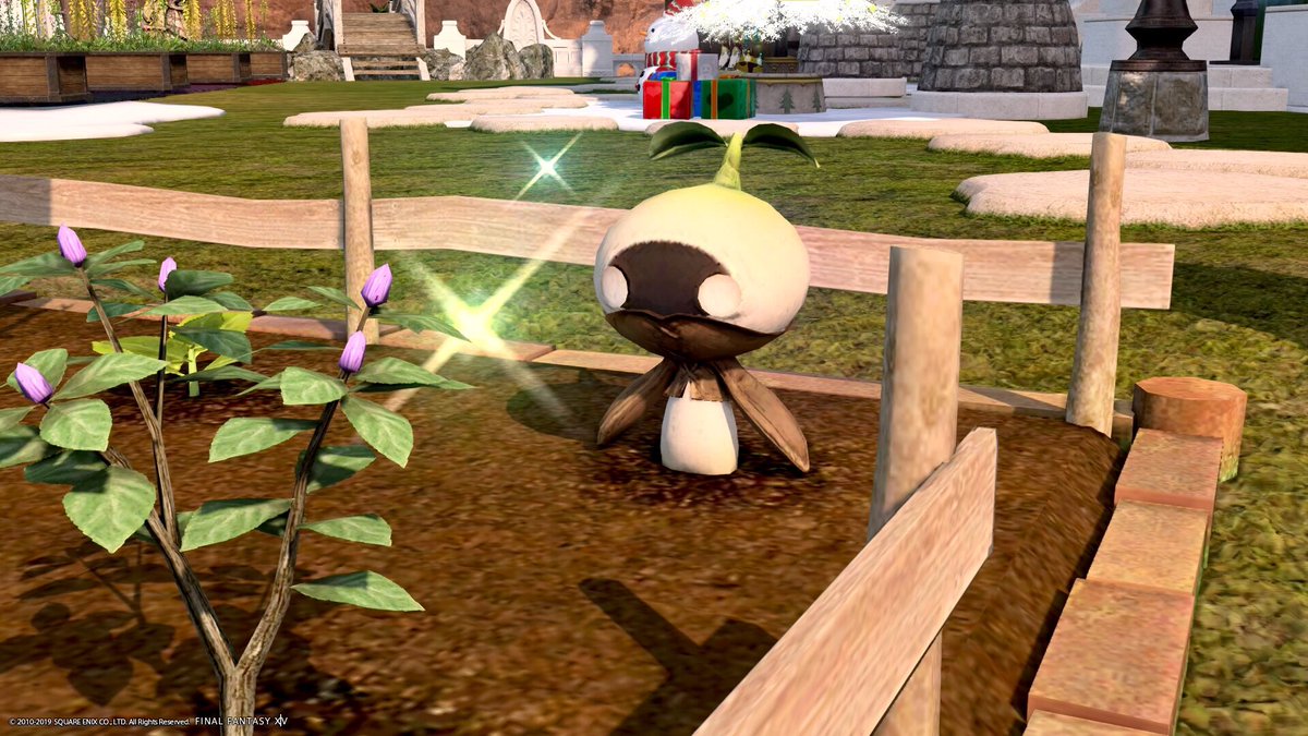 Eorzea Database: Garlic Jester Seeds | FINAL FANTASY XIV, The Lodestone