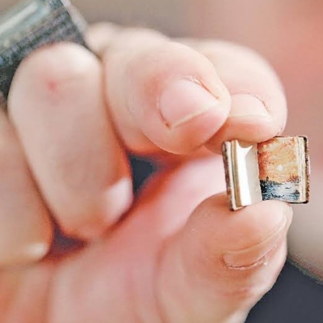 Worlds Smallest Things