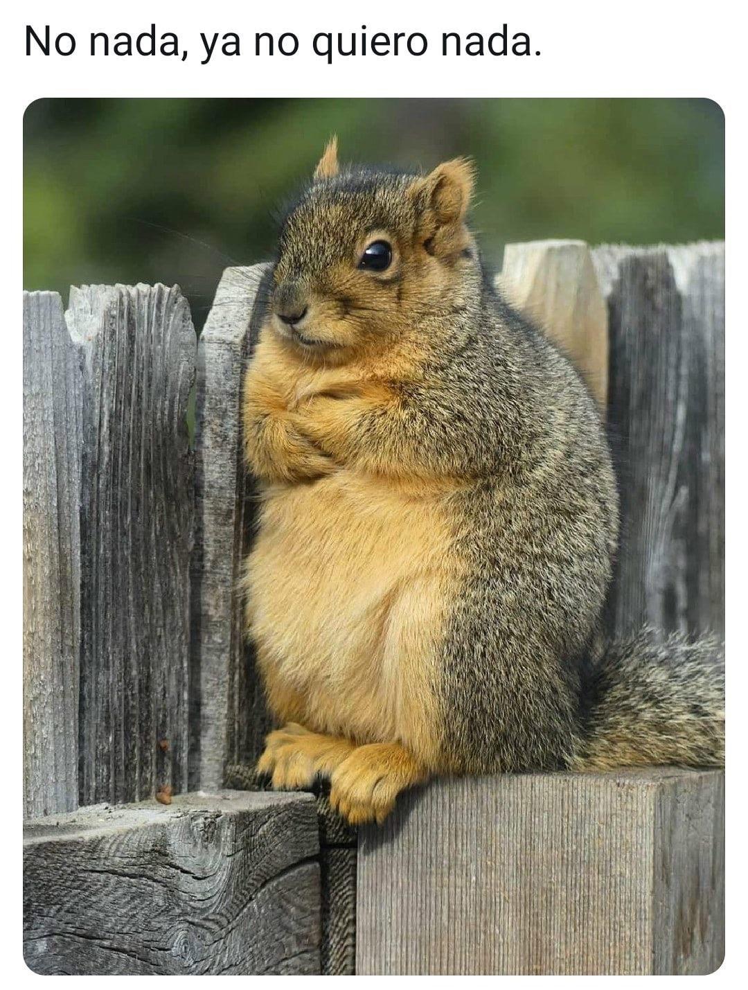 Memes De Te Enojaste