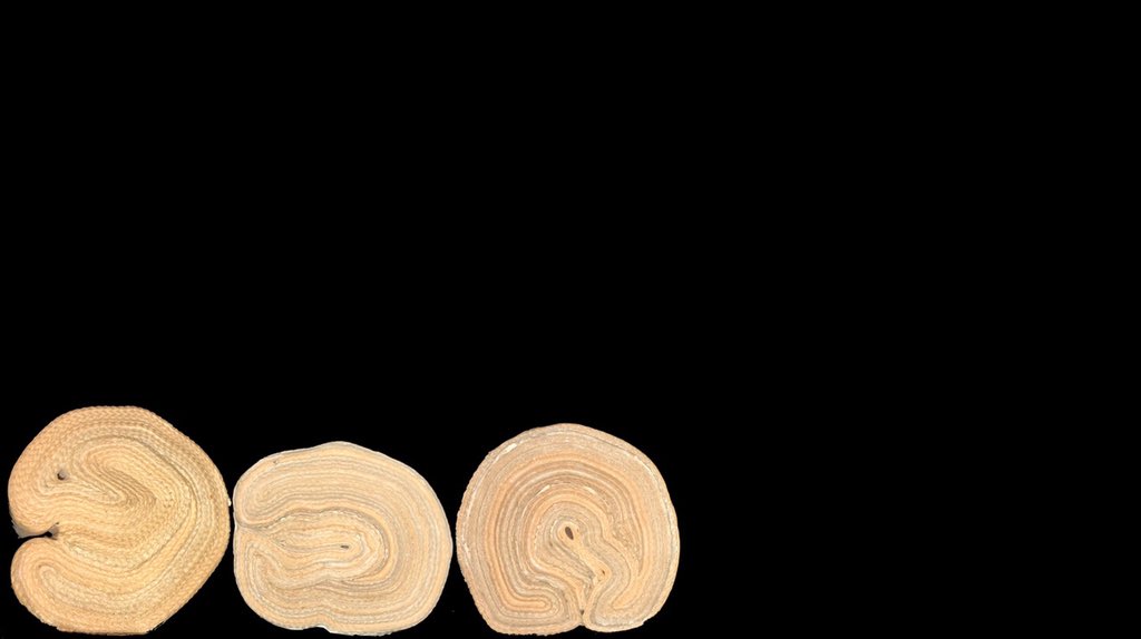 MAP OOO (@map_ooo) | Twitter