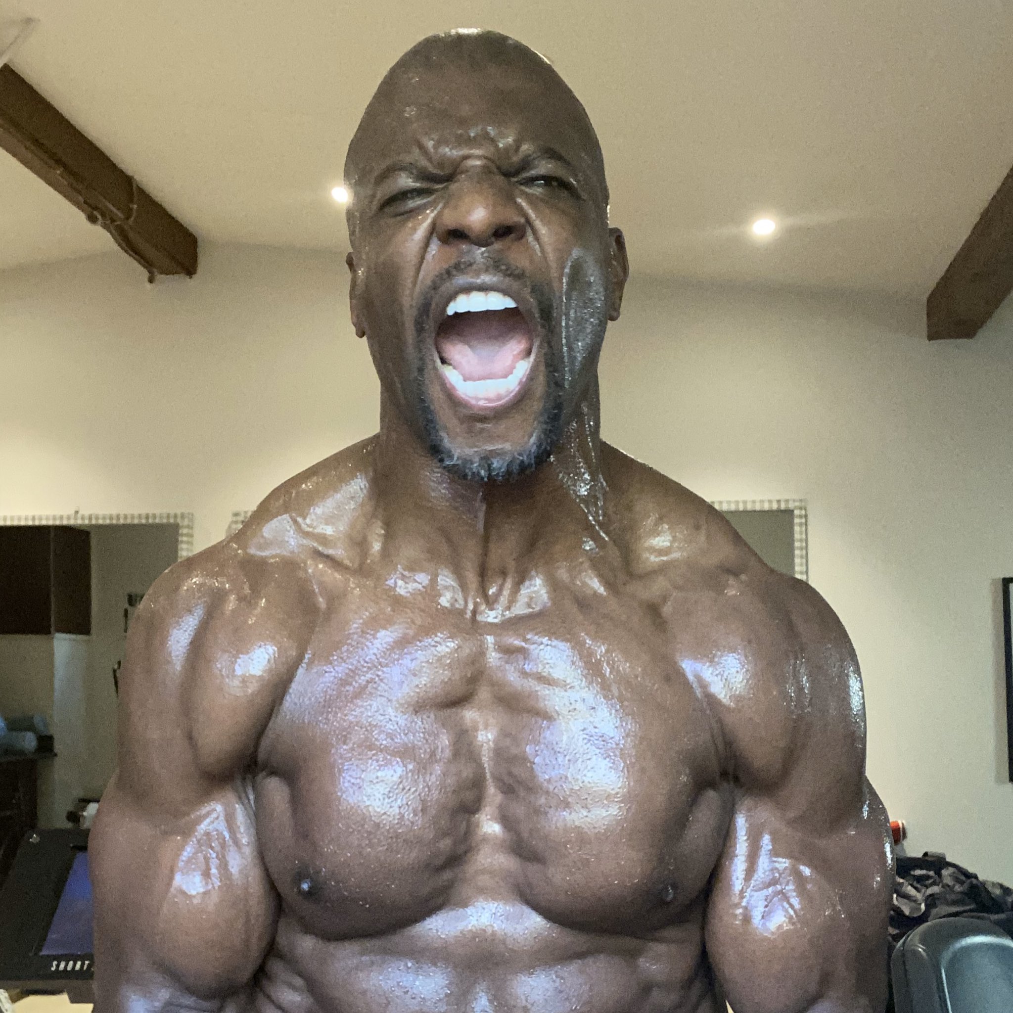 Terry Crews Tunge Terry Crews (@terrycrews) • Instagram Photos And