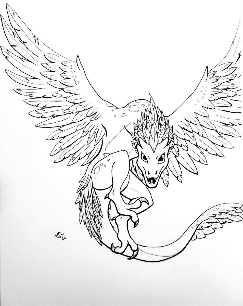 Phoenix And Dragon Drawing