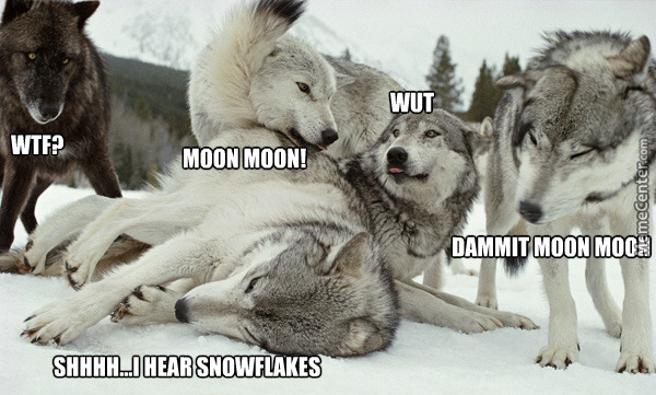Dammit Moon Moon Meme