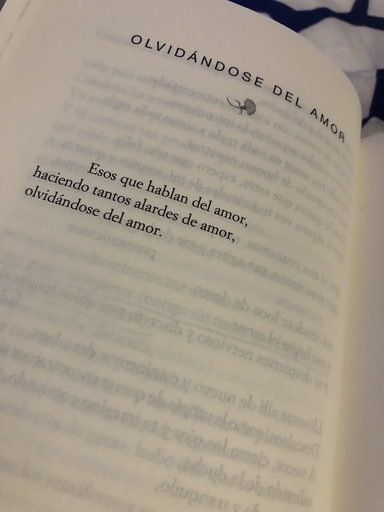 Frases De Amor De Libros