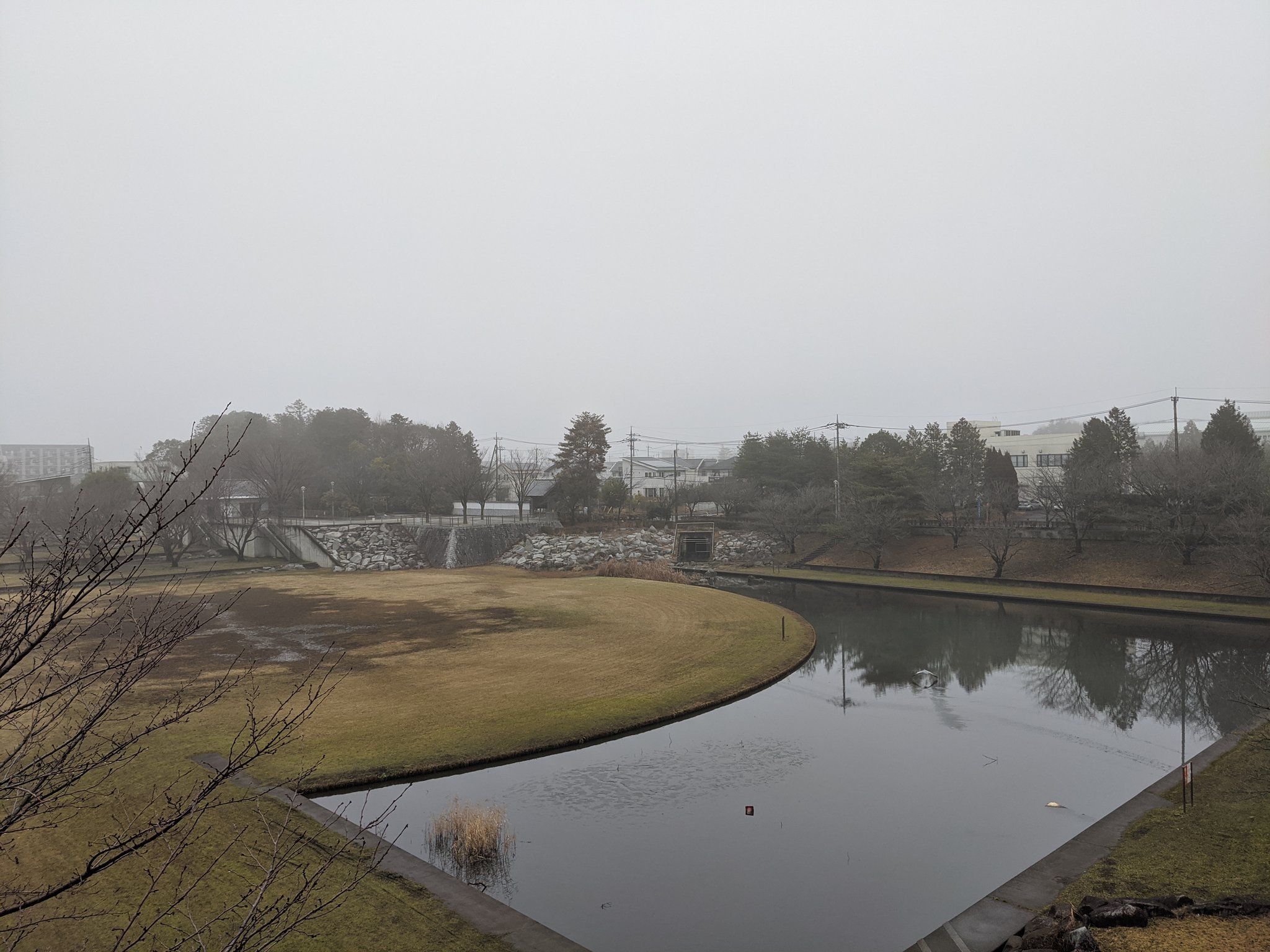 orefolder on Twitter: "おはようございます。1月8日(水)雨降りそう。半月ぶり、今年初の公園散歩。 今日からまたがんばるぞ。 https://t.co ...