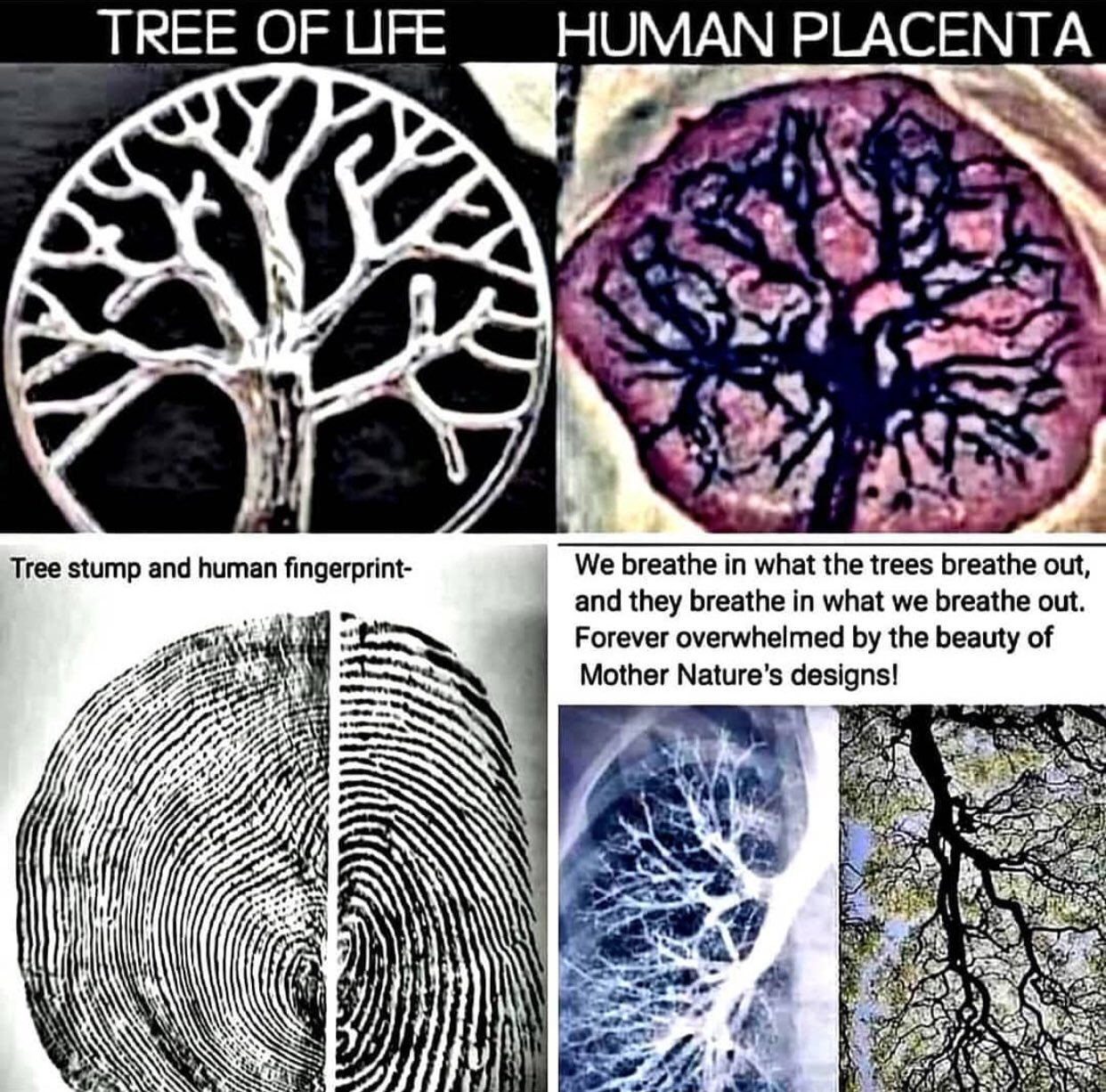 As Above So Below Tree