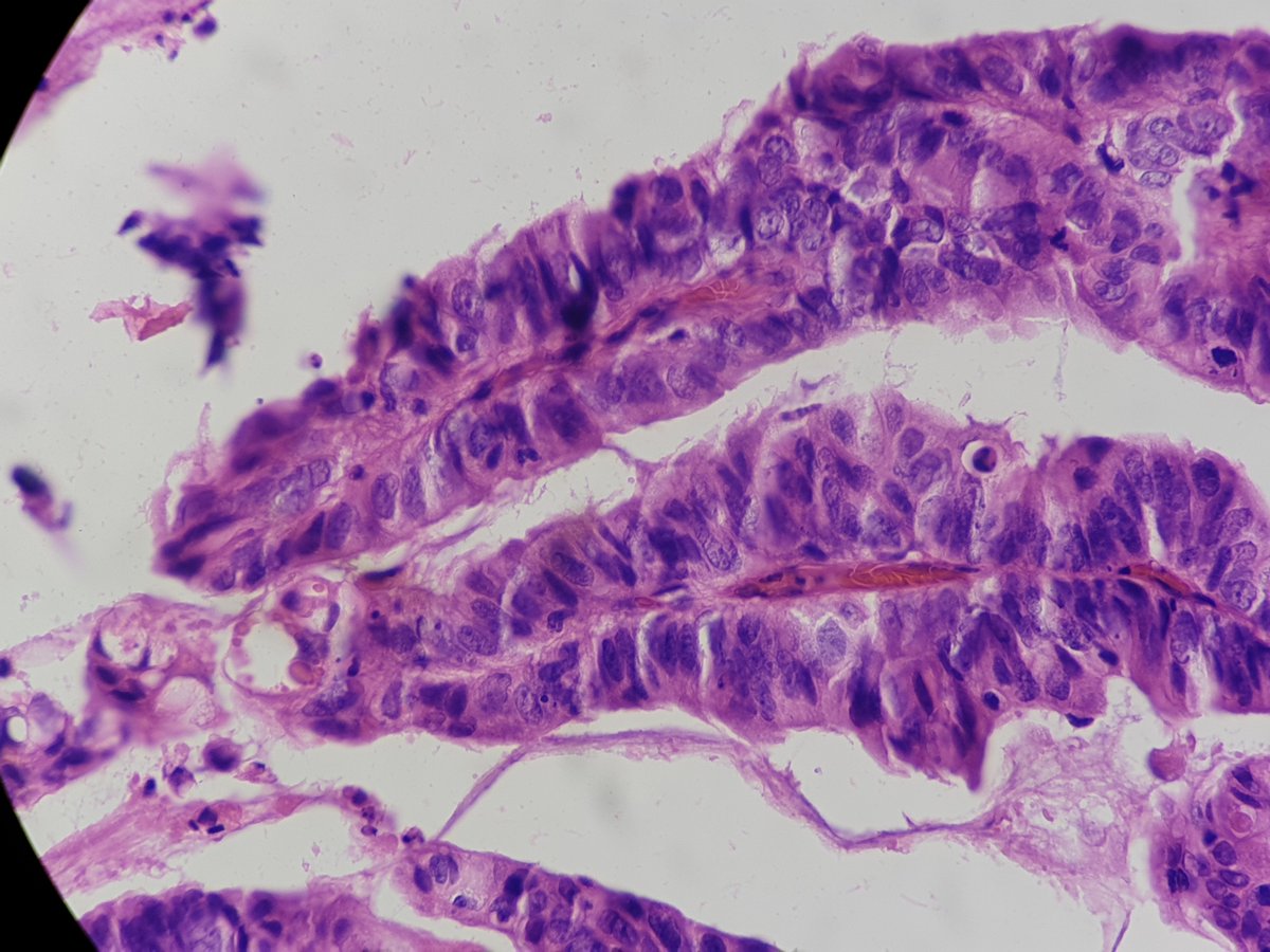 Sabin Ranabhat (@RbSabin) | Twitter