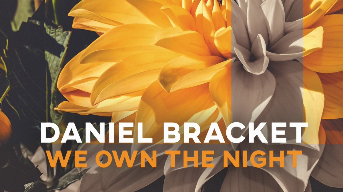 Daniel Bracket (@daniel_bracket) | Twitter