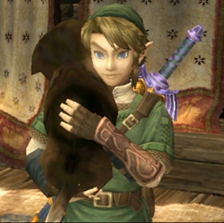 Twilight Princess Link Smile