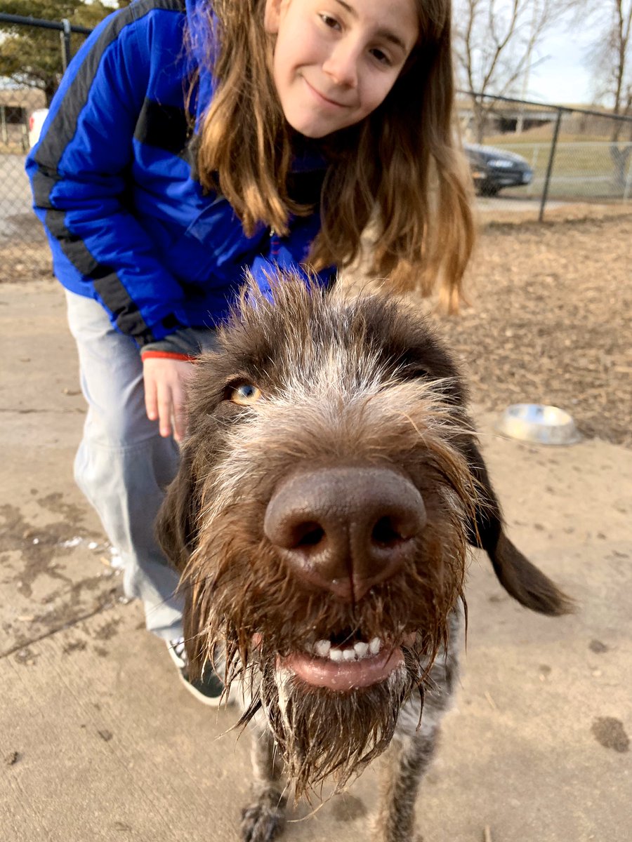 GoodBoy_Balto (@GoodBoy_Balto) | Twitter