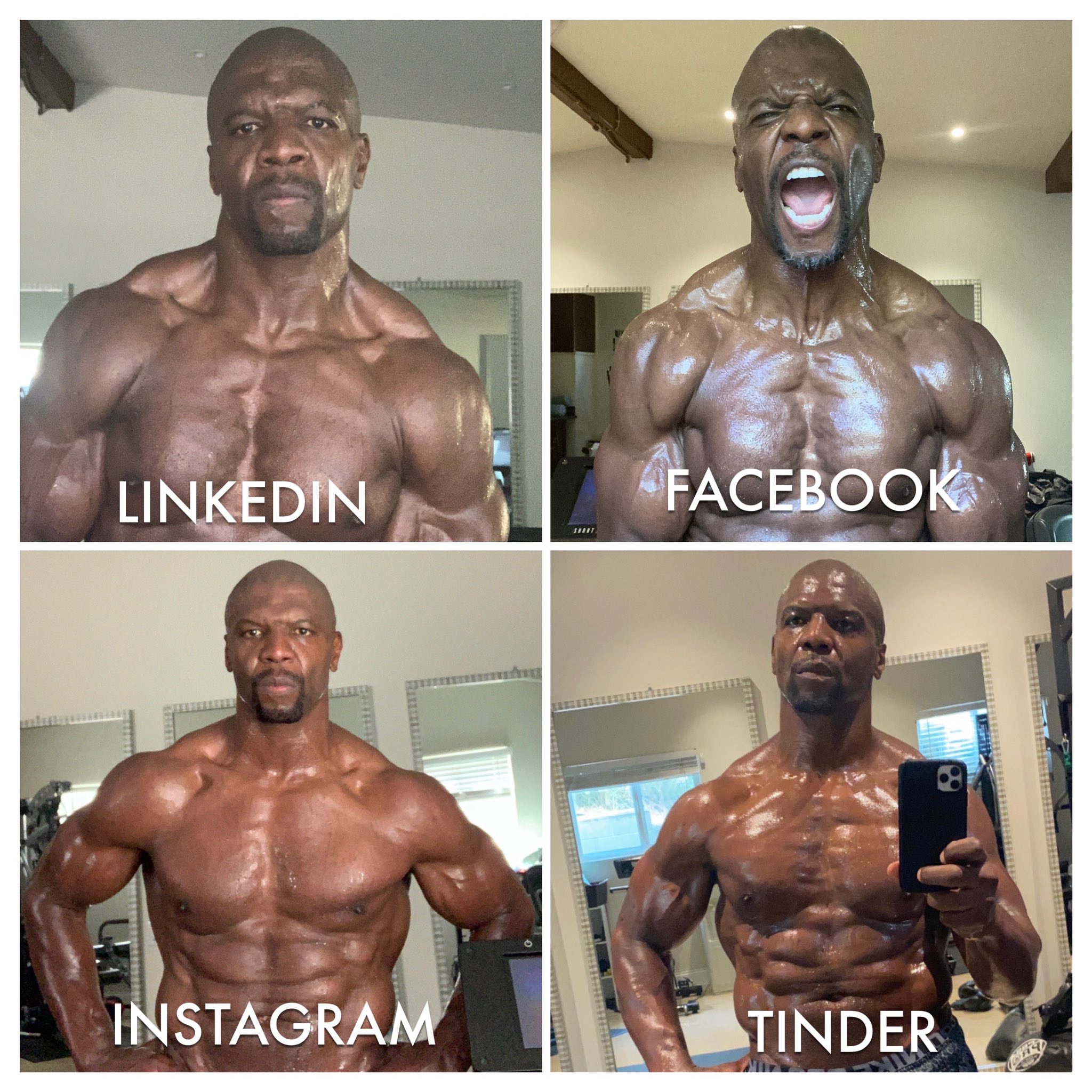 Terry Crews Meme