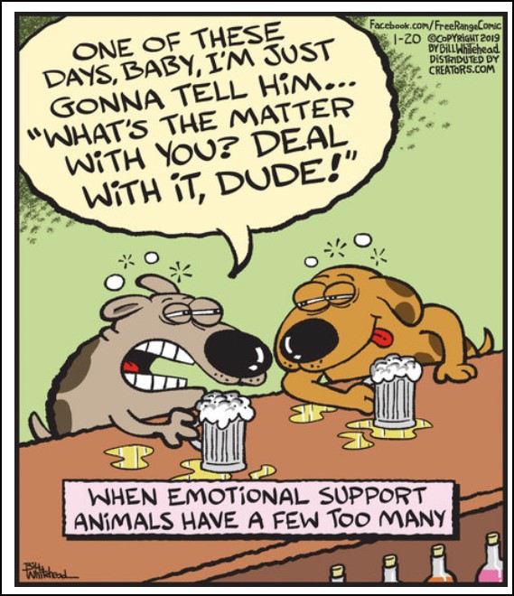 Funny Dog Cartoons Jokes