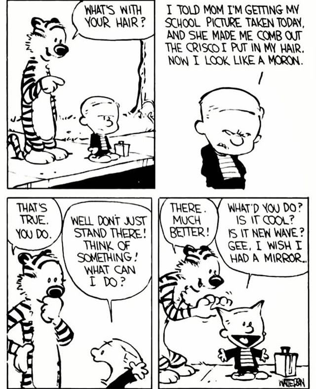 Calvin And Hobbes School Day