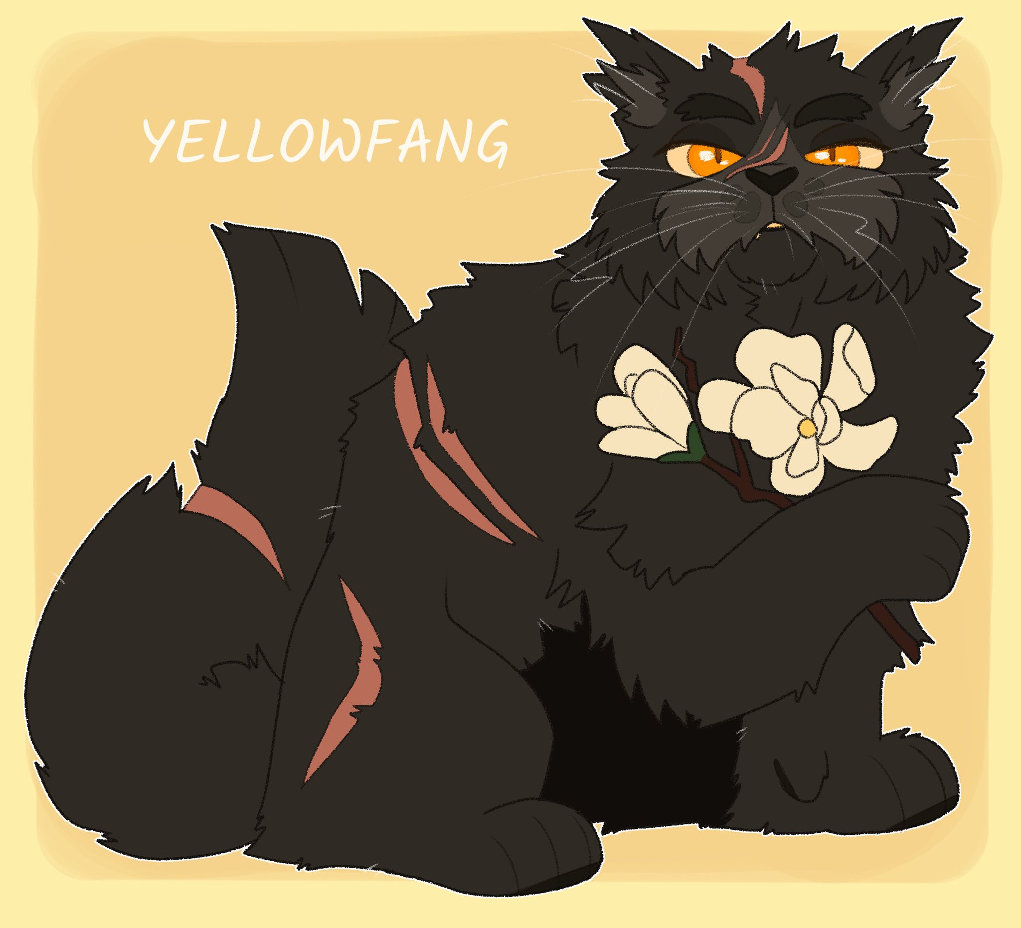 Warrior Cats Yellowfangs Secret