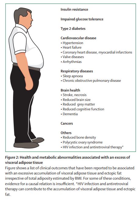 P. D. Mangan Health & Freedom Maximalist 🇺🇸 on Twitter: "Men in the upper third of visceral fat ...