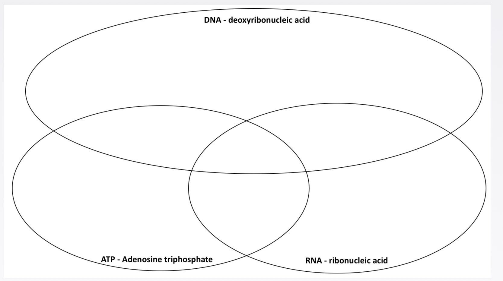 Dna Vs Rna Venn Diagram
